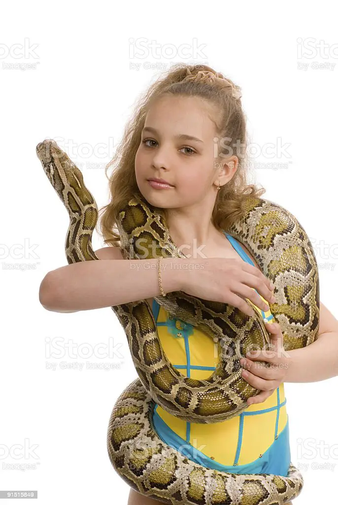 Learn More About Python the Animal - ReptileStartUp.com